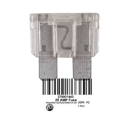 278001443 | BRP Fuse 25 Amperes